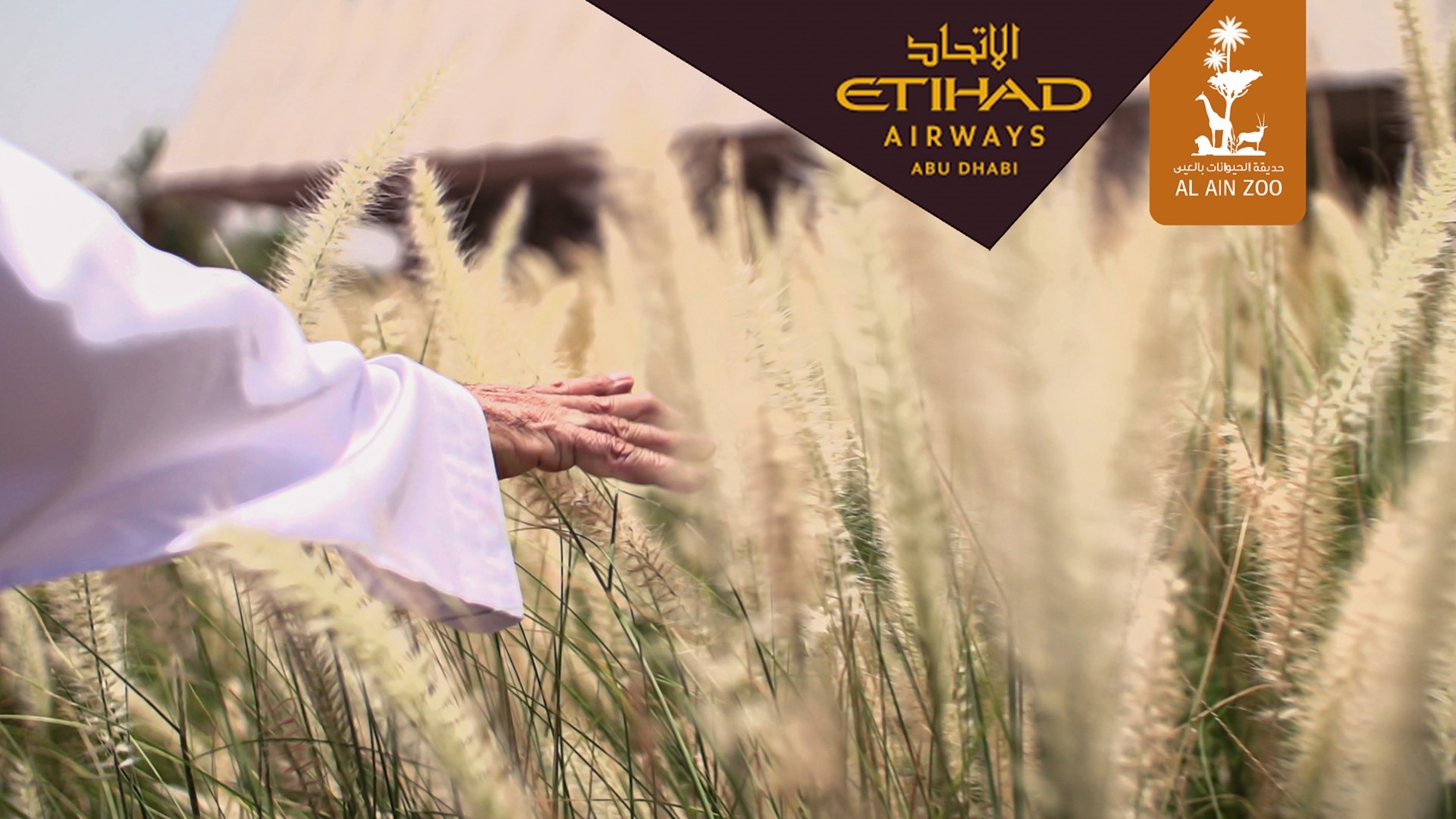 Sheikh Zayed Desert Learning Centre - Year of Zayed - First and Ten ...